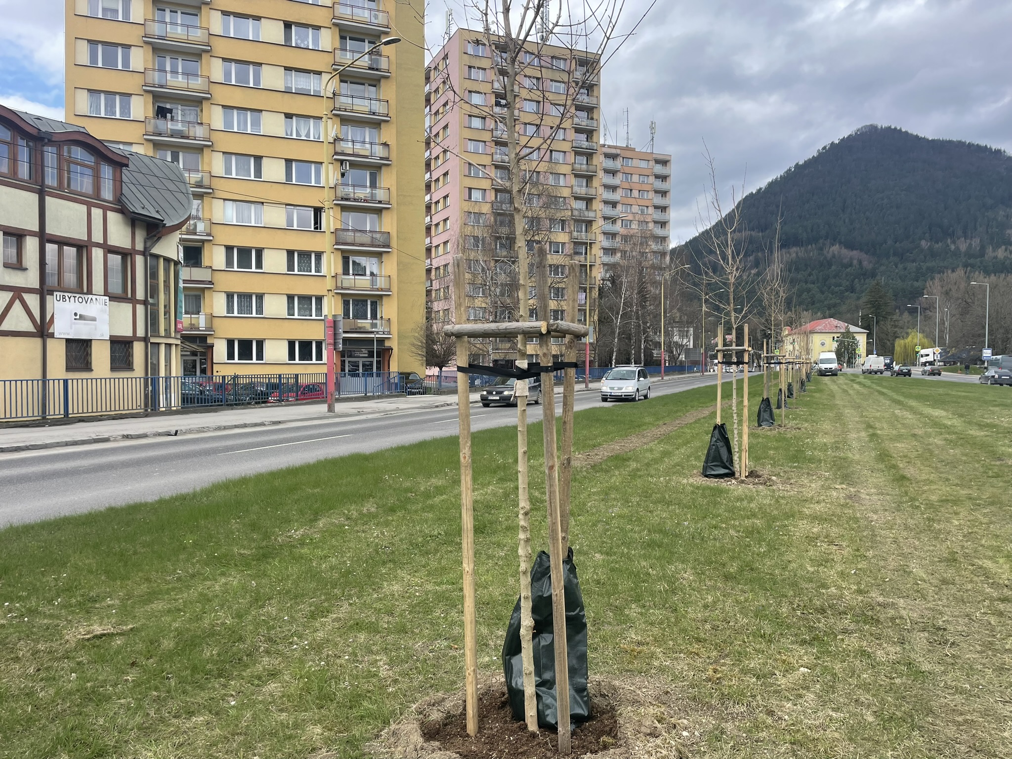 Na Nábreží M. R. Štefánika v Ružomberku vyrástol prvý zelený ostrov ...