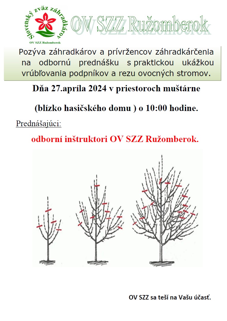 VRÚBĽOVANIE PODPNÍKOV A REZ OVOCNÝCH STROMOV (Muštáreň) | Ružomberok